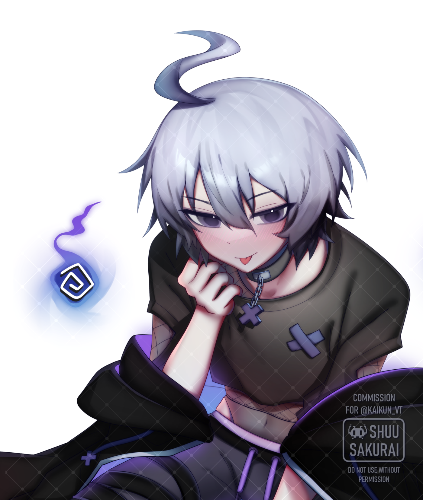 Commission Options - Shuu Sakurai Commissions